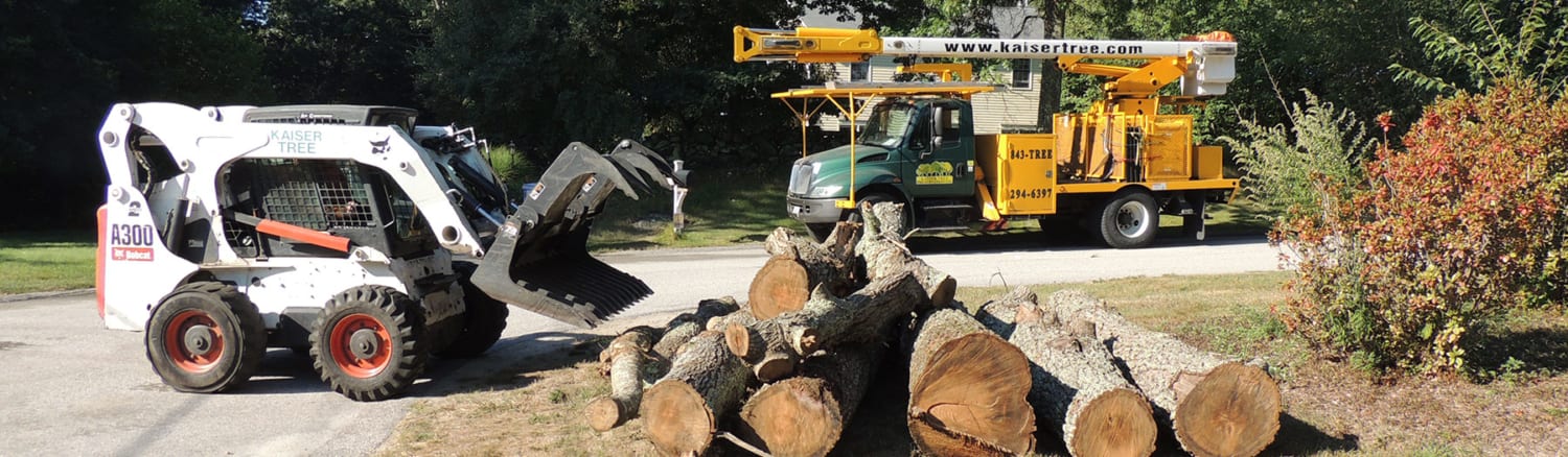 Kaiser Tree Preservation Co. - Rhode Island's Expert Shrub and Tree Care